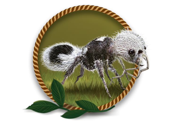 Muito Animal | Graça Kids | Descobrindo a Palavra, semeando vida!